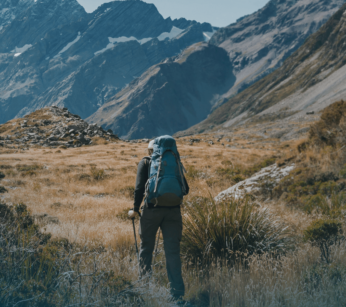 Steptember Challenge — Online Distribution